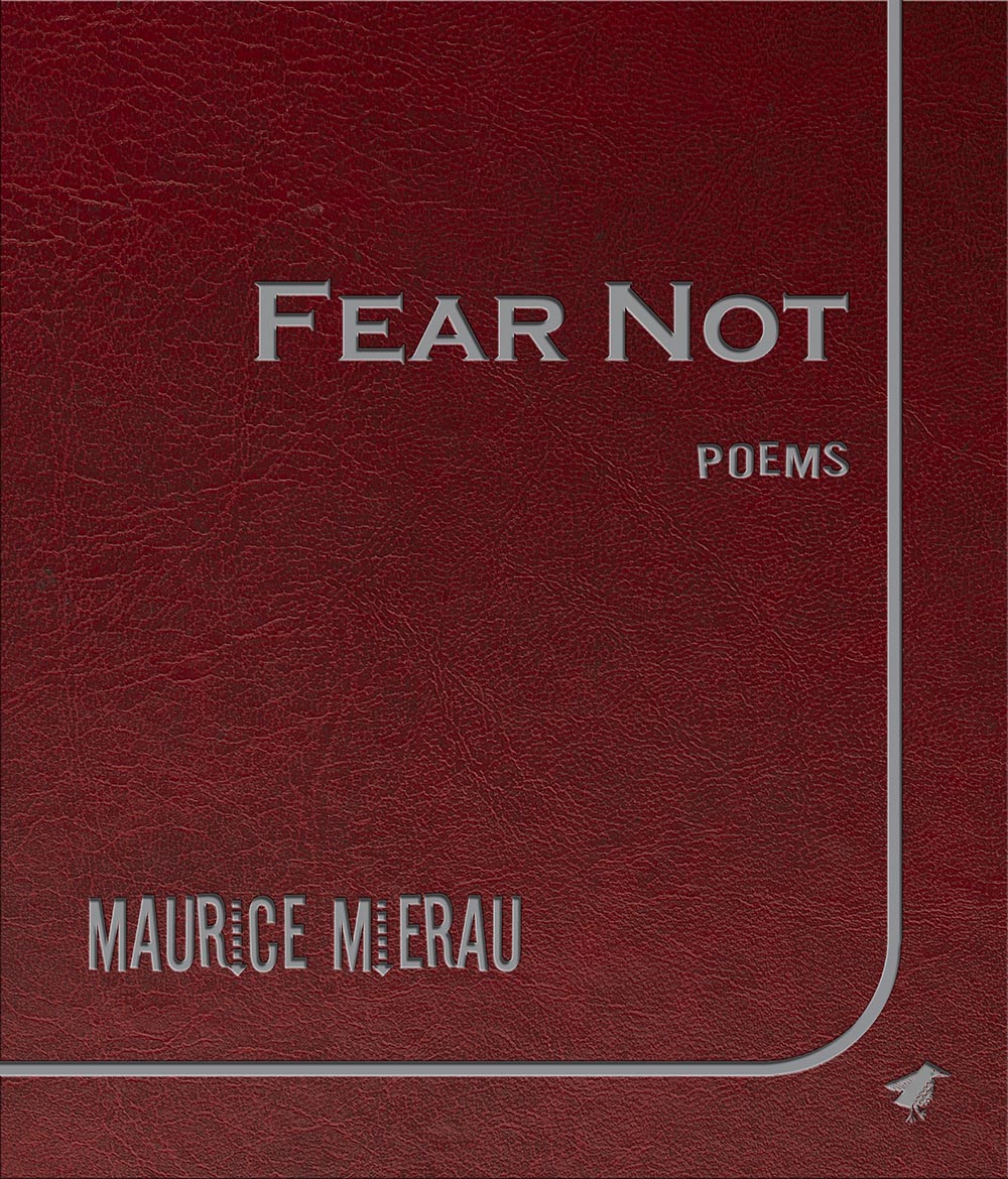 Fear Not Turnstone Press fear-not-turnstone-press